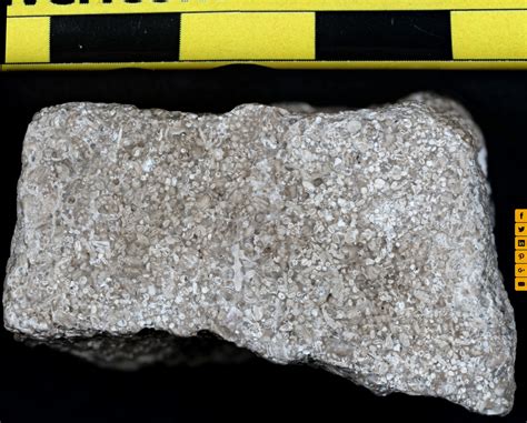Limestone Biosparite