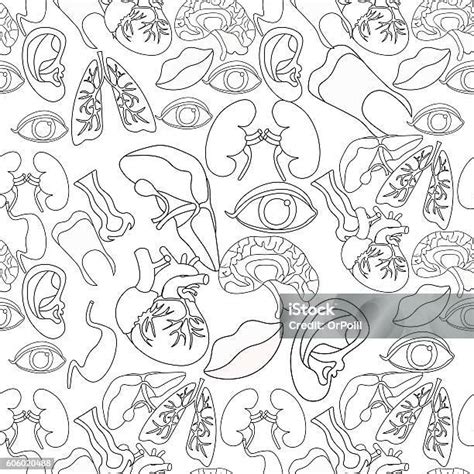 ระบายสีรูปแบบที่ไร้รอยต่อของอวัยวะของมนุษย์ในร่างกายและใบหน้า ภาพประกอบสต็อก ดาวน์โหลดรูปภาพ