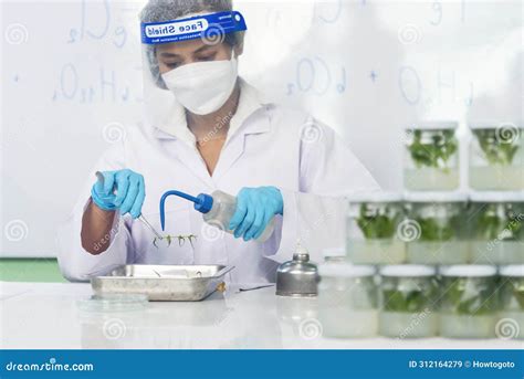 Scientist Women Check Sample In Vials For Analysis By Fourier Transform Infrared Spectroscopy