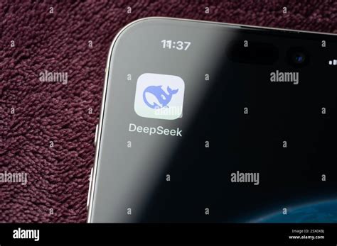 New York Usa February 19 2025 Deepseek Ai Assistant Icon On