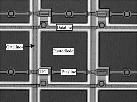 Figure 2 From Large Area Amorphous Silicon Tft Based X Ray Image Sensors For Medical Imaging And