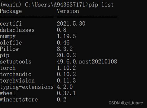 Anaconda已下载pytorch但是无法在python环境中import Torch装了pytorch后 Import不了 Csdn博客