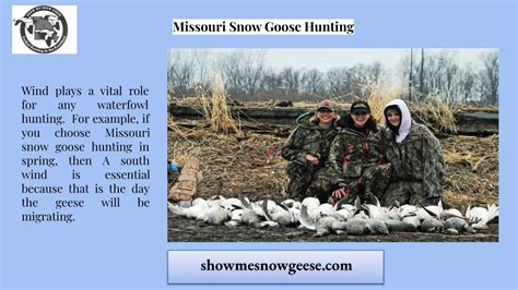 Ppt Snow Goose Hunt Powerpoint Presentation Free Download Id10025406