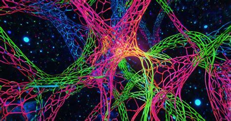 Ubers Response To Ai Data Labelling Demand Illuminate Ai Ubers Response To Ai Data Labelling Demand Illuminate Ai