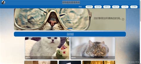 【开题报告】ssm宠物医院管理系统5x35l计算机毕业设计程序 战少程序源码的博客 csdn博客