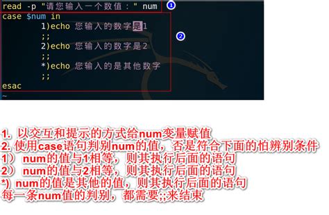 Kali与编程：shell编程之case语句 知乎