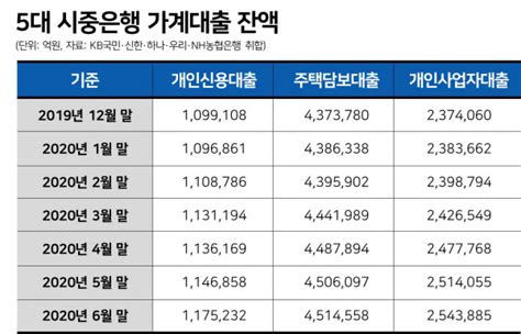 정부 주담대 규제로 시중 5대은행 신용대출 급증 땅집고 정책·일반