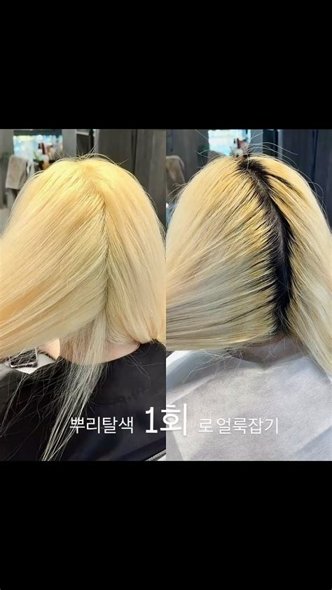 디페드 규미 울산염색 울산탈색 숏단발 단발펌 중단발레이어드 Dfed Kyumi • Instagram Photos