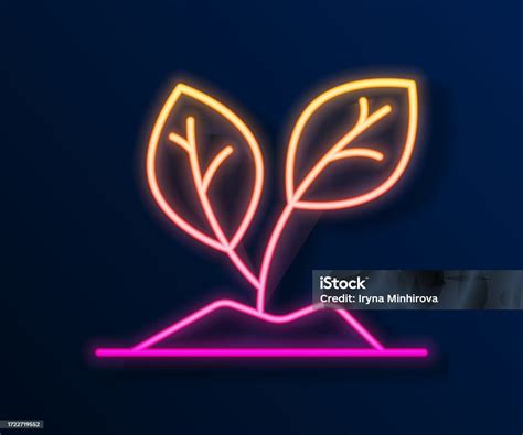 검은 색 배경에 고립 된 빛나는 네온 라인 새싹 아이콘 종묘와 묘목 나뭇잎 기호 잎 자연 벡터 개념에 대한 스톡 벡터 아트 및 기타 이미지 Istock