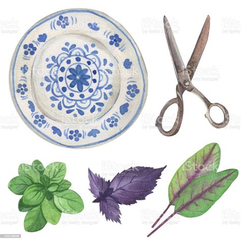 손으로 그린 요리 허브 세트 다른 신선한 유기농 건강한 자연 종 격리 수채화에 대한 스톡 벡터 아트 및 기타 이미지 수채화 향기로운 가위 Istock