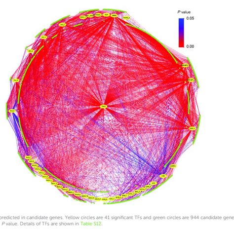 Snp Calling And Genetic Mapping Construction A Distribution Of Snp