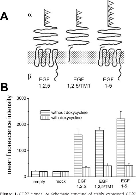 Figure 1 From Tumorigenesis And Neoplastic Progression Individual Cell Based Models Of Tumor