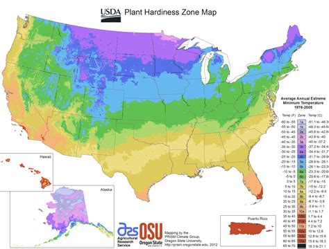 Us Plant Hardiness Zone Map •