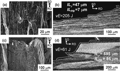 Sem Fractographs A C And Optical Micrographs B D Demonstrating Download Scientific