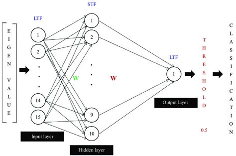 The Architecture Of The Ffnn Download Scientific Diagram