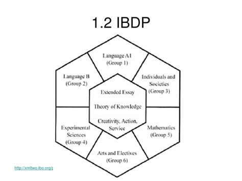 Ppt Impact Of The Cas Service Element On Ibdp Graduates Powerpoint