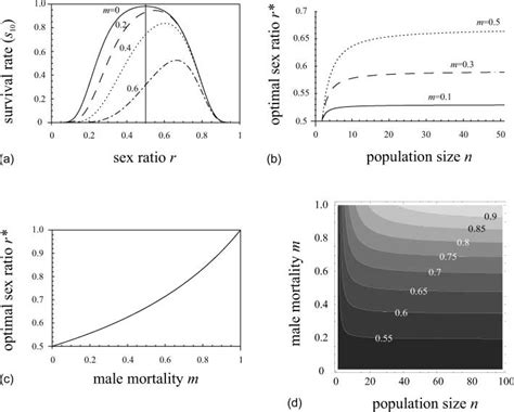 Optimal Sex Ratios For A Persistent Population With Male Biased Download Scientific Diagram