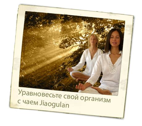 Jiaogulan naturel | Slideshow | Джиаогулан | Цзяо Гу Лань | Цзяогулань ...