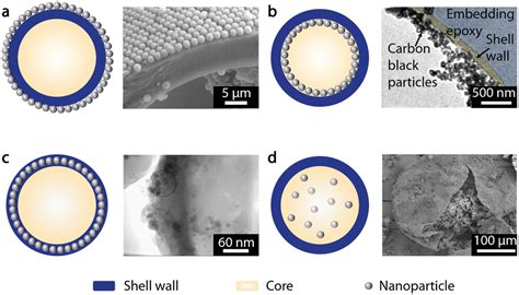 Nanoparticle‐empowered Coreshell Microcapsules From Architecture