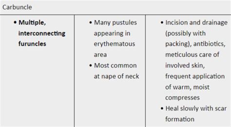 Integumentary Problems Bacterial And Viral Infections Flashcards Quizlet