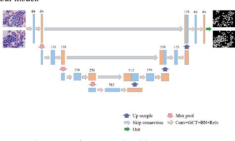 Figure 1 From Gct Unet U Net Image Segmentation Model For A Small Sample Of Adherent Bone