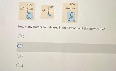 Solved Coo H N C H Ch Coo Ch Ch An Ch Ch How Many Chegg Com