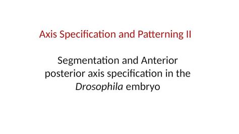 Pptx Axis Specification And Patterning Ii Segmentation And Anterior