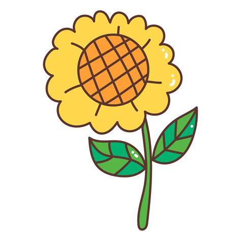 ดอกทานตะวัน Png