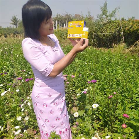 အင်အားသစ် တိုင်းရင်းဆေး