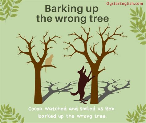 Idiom Barking Up The Wrong Tree Meaning And Examples