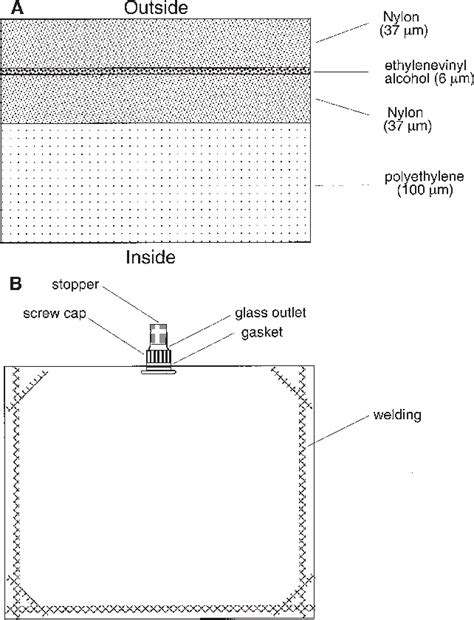 Figure 1 From Anoxic Incubation Of Sediment In Gas Tight Plastic Bags