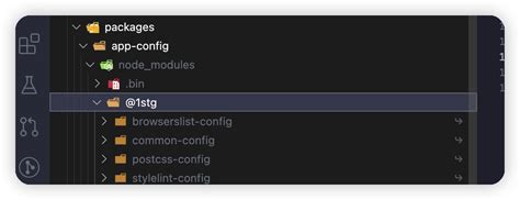 The Default `public Hoist Pattern` Seems Not Working For Package Like `1stgeslint Config` And