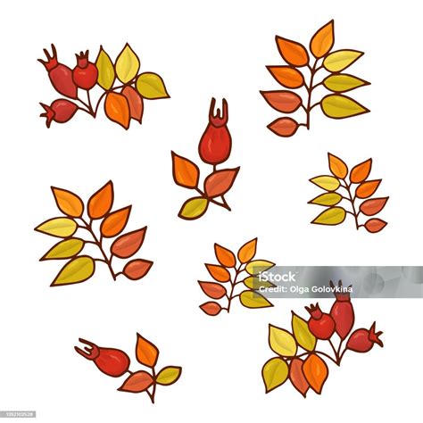 로즈힙 벡터 드로잉 흰색 배경에 격리 된 베리 분기 스케치 여름 과일 조각 스타일 일러스트 상세한 손으로 그린 채식 음식 라벨 포스터 인쇄에 적합 0명에 대한 스톡 벡터