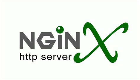 nginx 实战指南：从入门到精通，打造高性能 web 服务器 nginx应用实战 csdn博客
