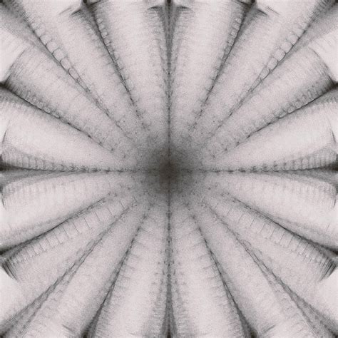 Every Particle Attracts Every Other Particle Javascript Sketch2 R