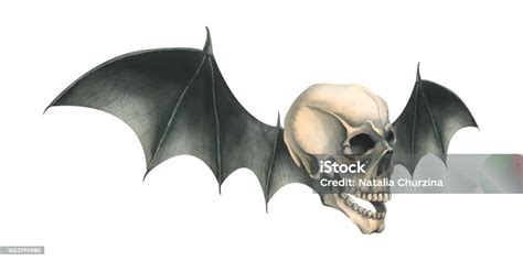 죽음의 날 휴일 및 할로윈을 위한 검은 박쥐 날개를 가진 인간의 두개골을 옆으로 봅니다 수채화 그림 손으로 그린 흰색 배경에 격리된 구성입니다 갈고리 발톱에 대한 스톡 벡터