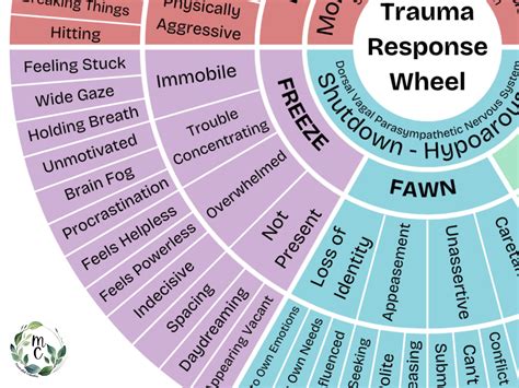 Trauma Response Behavior Wheel In Rainbow Color Emotion Wheel