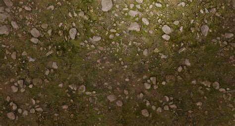 Woodland Terrain Pbr Texture By Cghawk