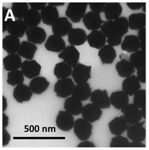 Gold Nanoparticle Preparation Method And Application Thereof Eureka Patsnap