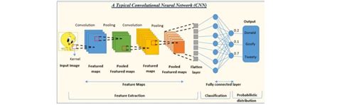 ai ml dl convolutional neural network convolutional neural network is a specialized neural