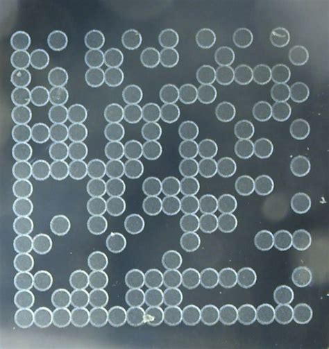 Matrix Can Not Be Recognised If Printed As Circles Why · Issue 84 · Naturalhistorymuseum