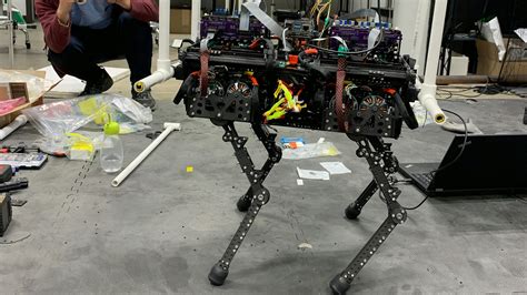 Compliant Legged Robot