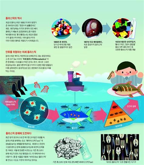 재미있는 과학 썩지 않는 플라스틱 유전자 조작 효소로 분해 시도하죠 재미있는 과학 과학실험 어린이