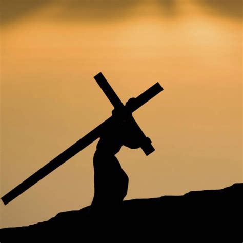 Papel De Parede Pomba E Cruz Adesivo De Parede Evangelico Cruz Jesus