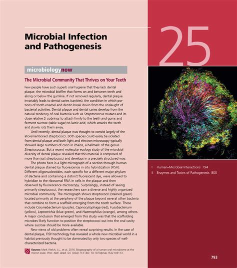 Microbial Infection And Pathogenesis Microbial Infection And Pathogenesis 25 793 I Human