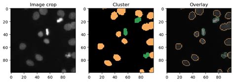 Clustering With Umaps — Bio Image Analysis Notebooks