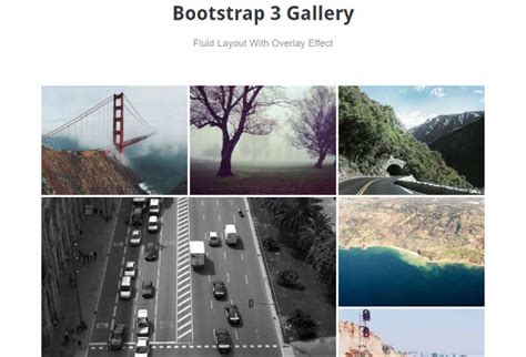 The Best 18 Bootstrap Galleries To Have