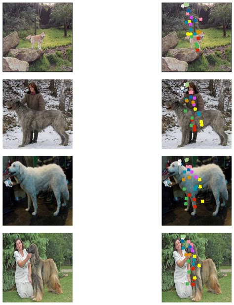 迁移学习的关键点检测 Keras 机器学习库