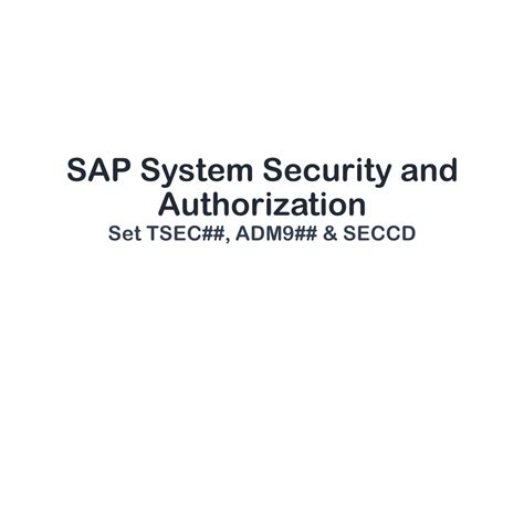 Sap System Security And Authorization Erp Library