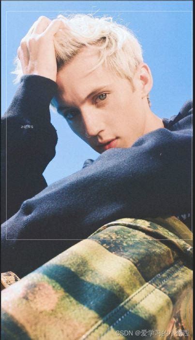 使用pytorch加载并读取coco数据集的详细操作asp之家